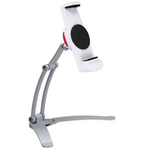 Daymark Multi-Flex Stand and Wall Mount