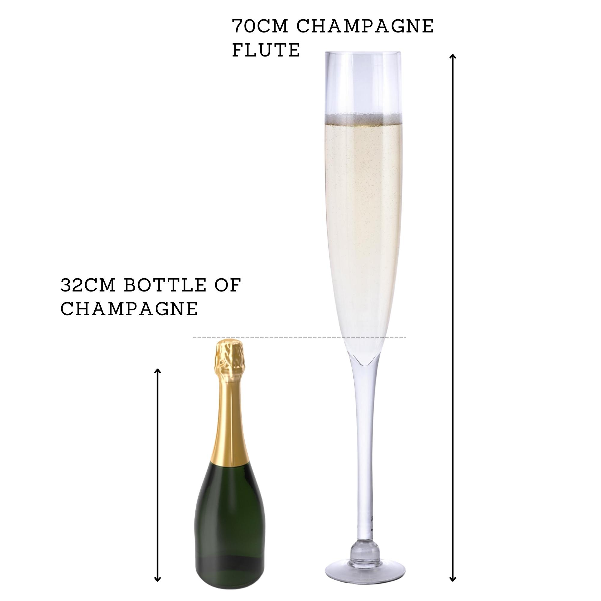 Giant Champagne Glass 70 x 10cm 2.4ltr